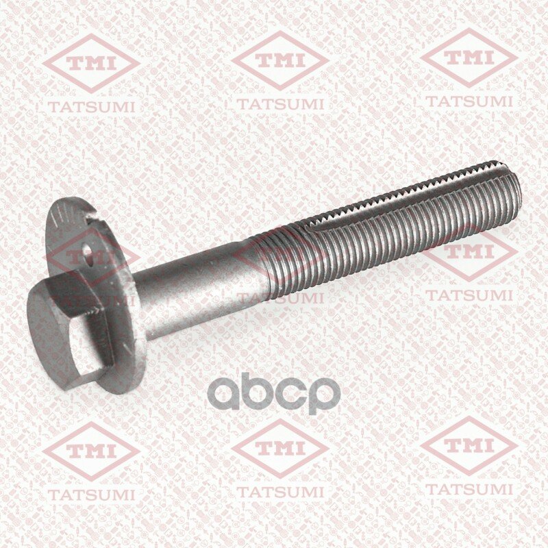 Болт-эксцентрик NISSAN Dualis/Qashqai/Qashqai+2/X-Trail 07->/ RENAULT Kadjar/Koleos 08-> TATSUMI арт. TJA1024