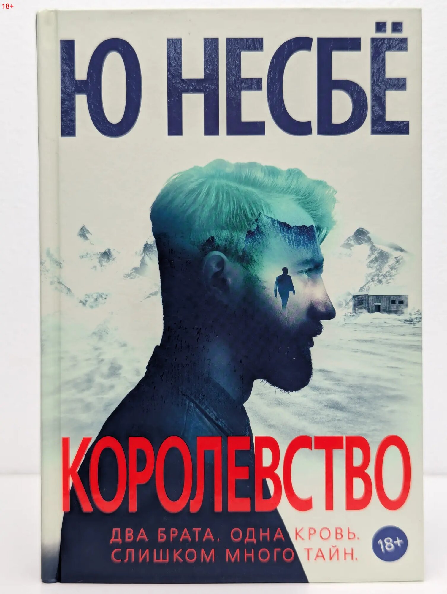 Звезды мирового детектива. Королевство Несбе Ю 2020