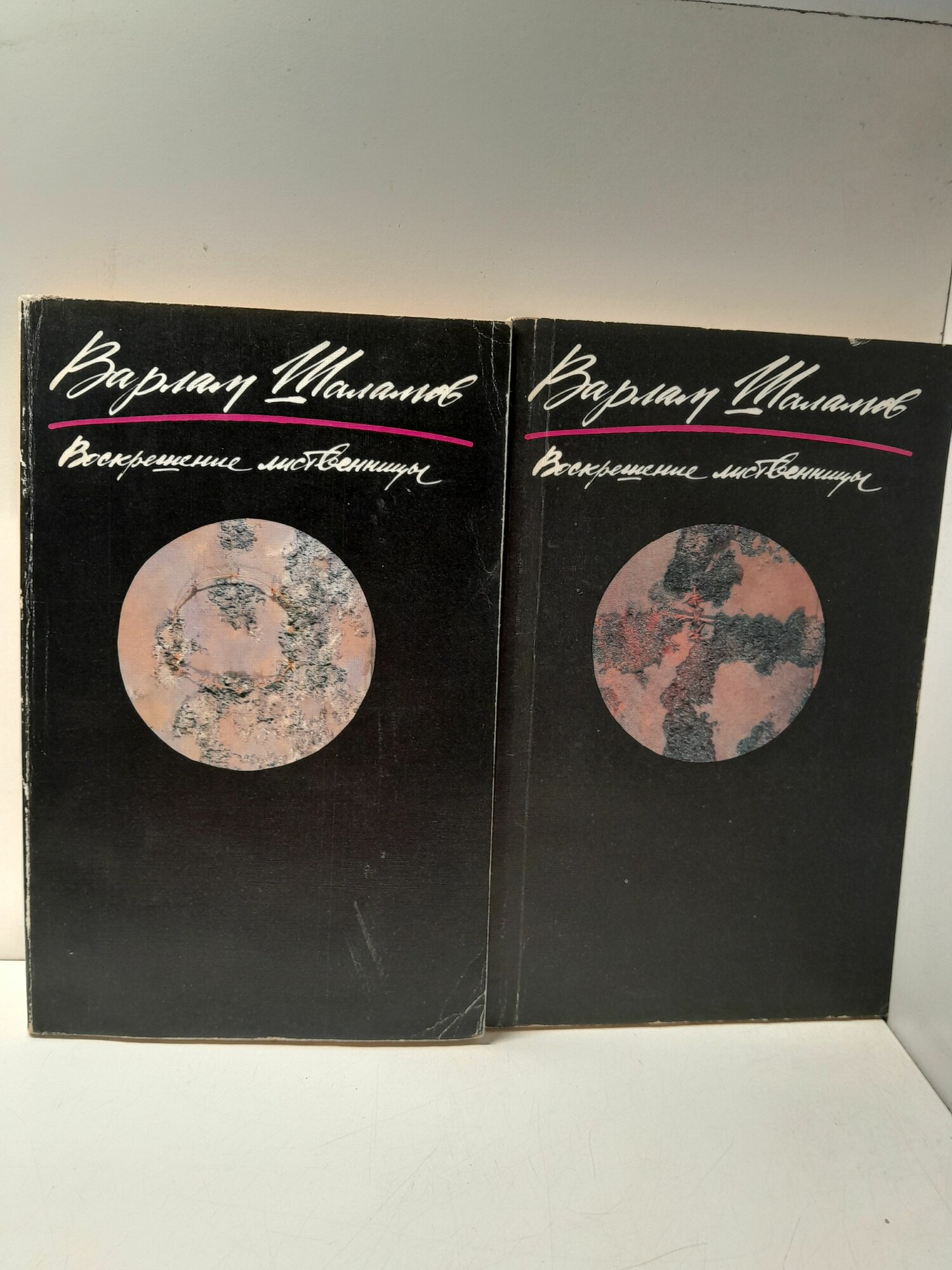 Воскрешение лиственницы. Рассказы в 2 книгах / Варлам Шаламов