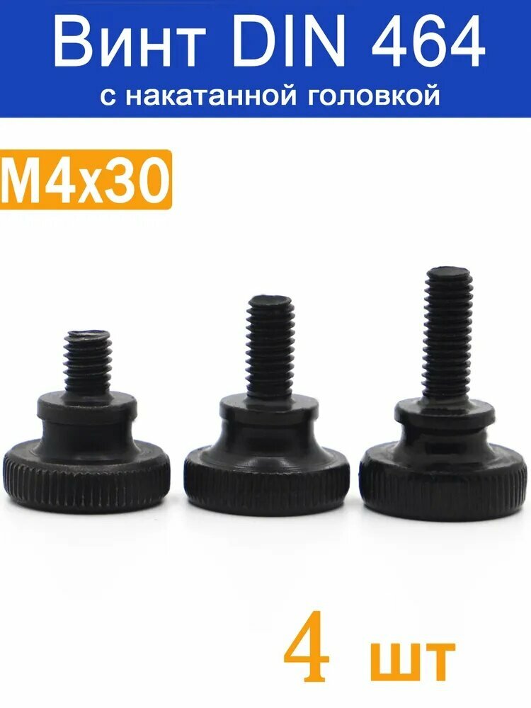 Винт M4 x 4 x 30 мм, головка: Круглая, 4 шт.