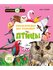Книга Птицы