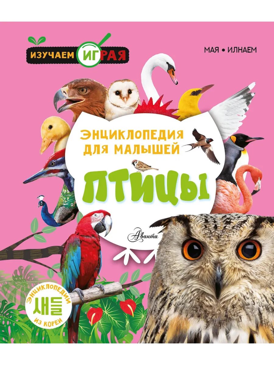Книга Птицы