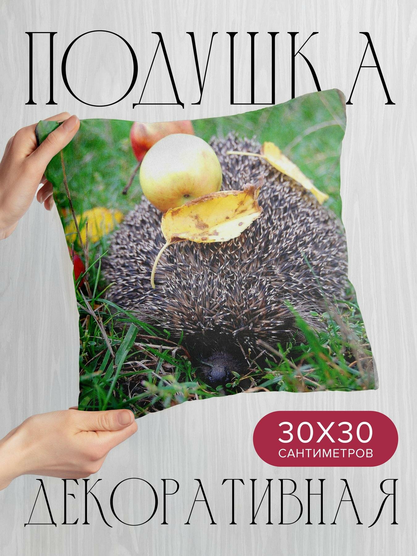 Подушка декоративная, 30x30см / Животные / ёж / игла