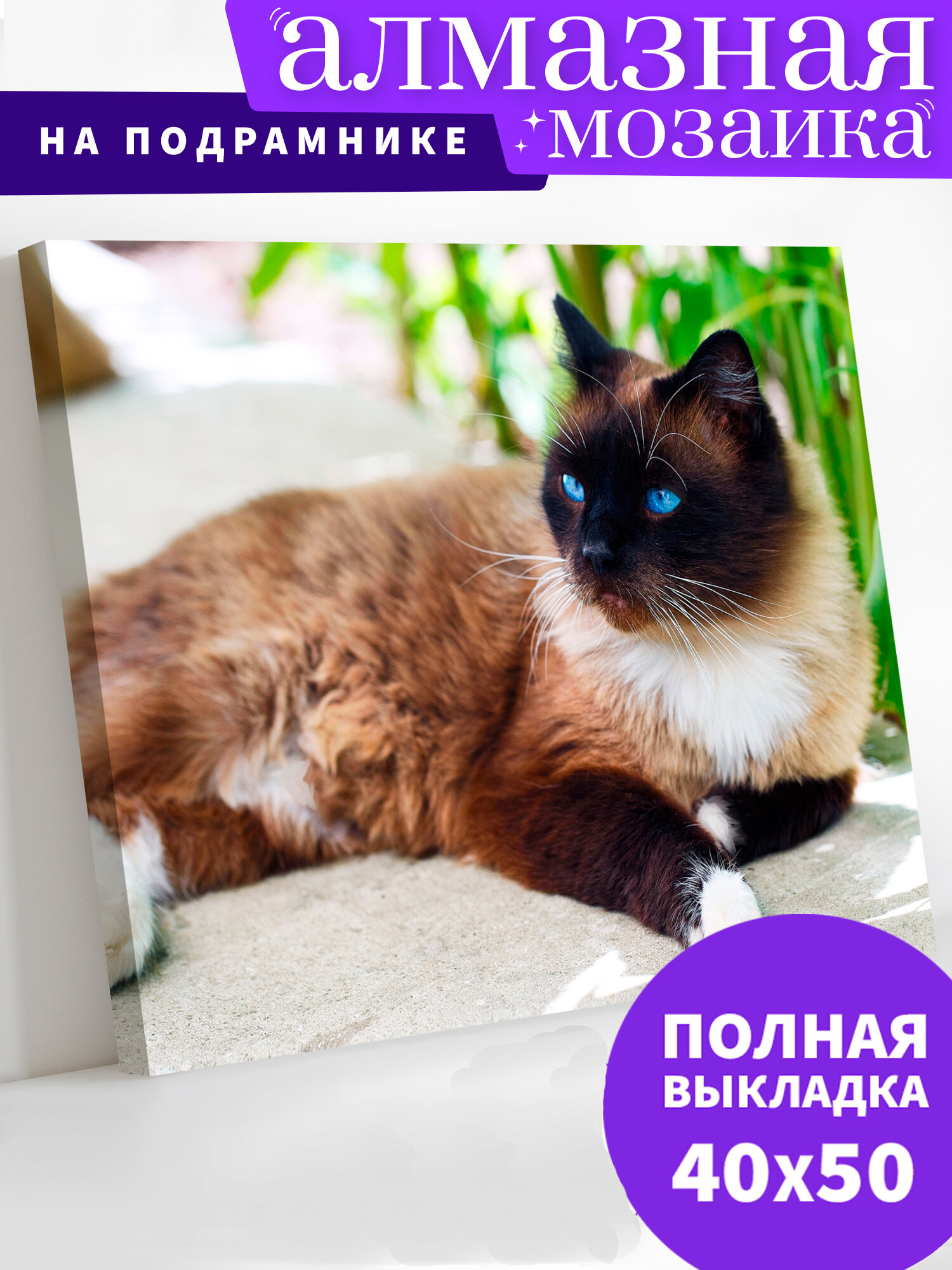 Алмазная мозаика Art on Canvas Сиамская кошка (1 шт.)