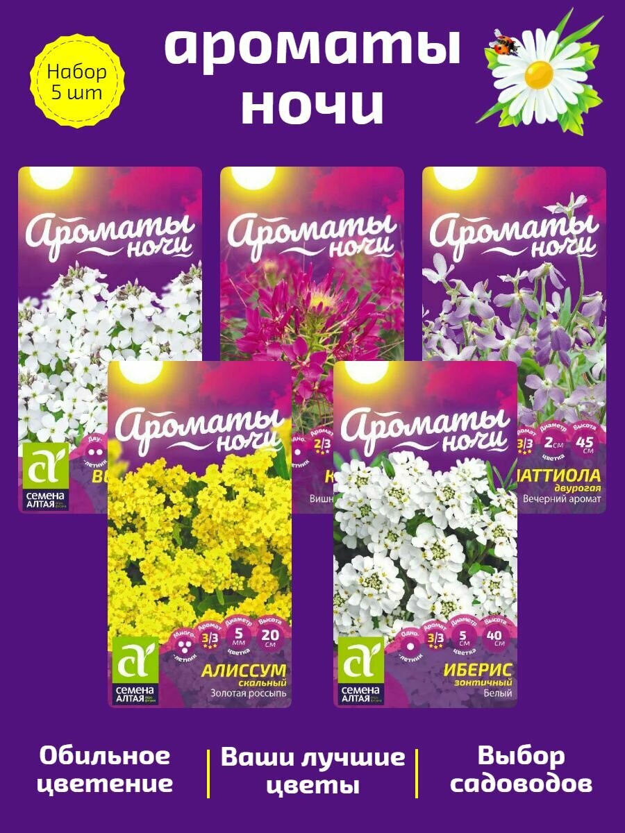 Алиссум «Золотая Россыпь», Иберис «Белый», Вечерница «Белая», Клеома «Вишнёвая Королева», Маттиола «Вечерний Аромат».