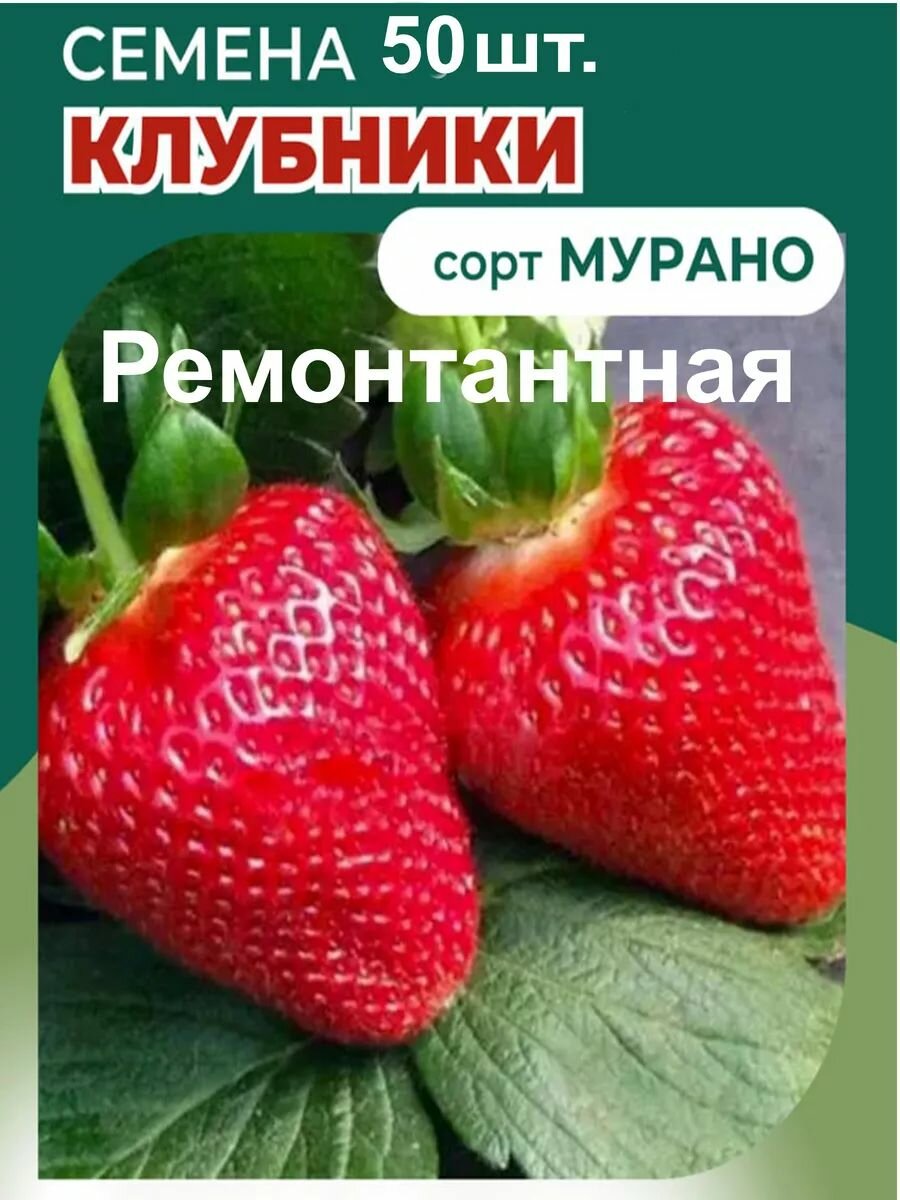 Семена 50 шт. клубники сорт Мурано для посадки для выращивания