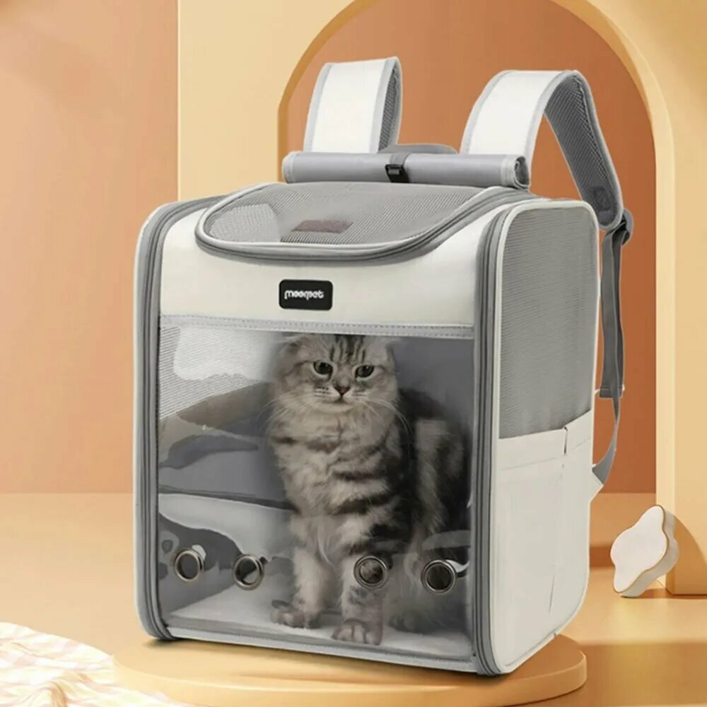 Кошка, собака, рюкзак, сумка.