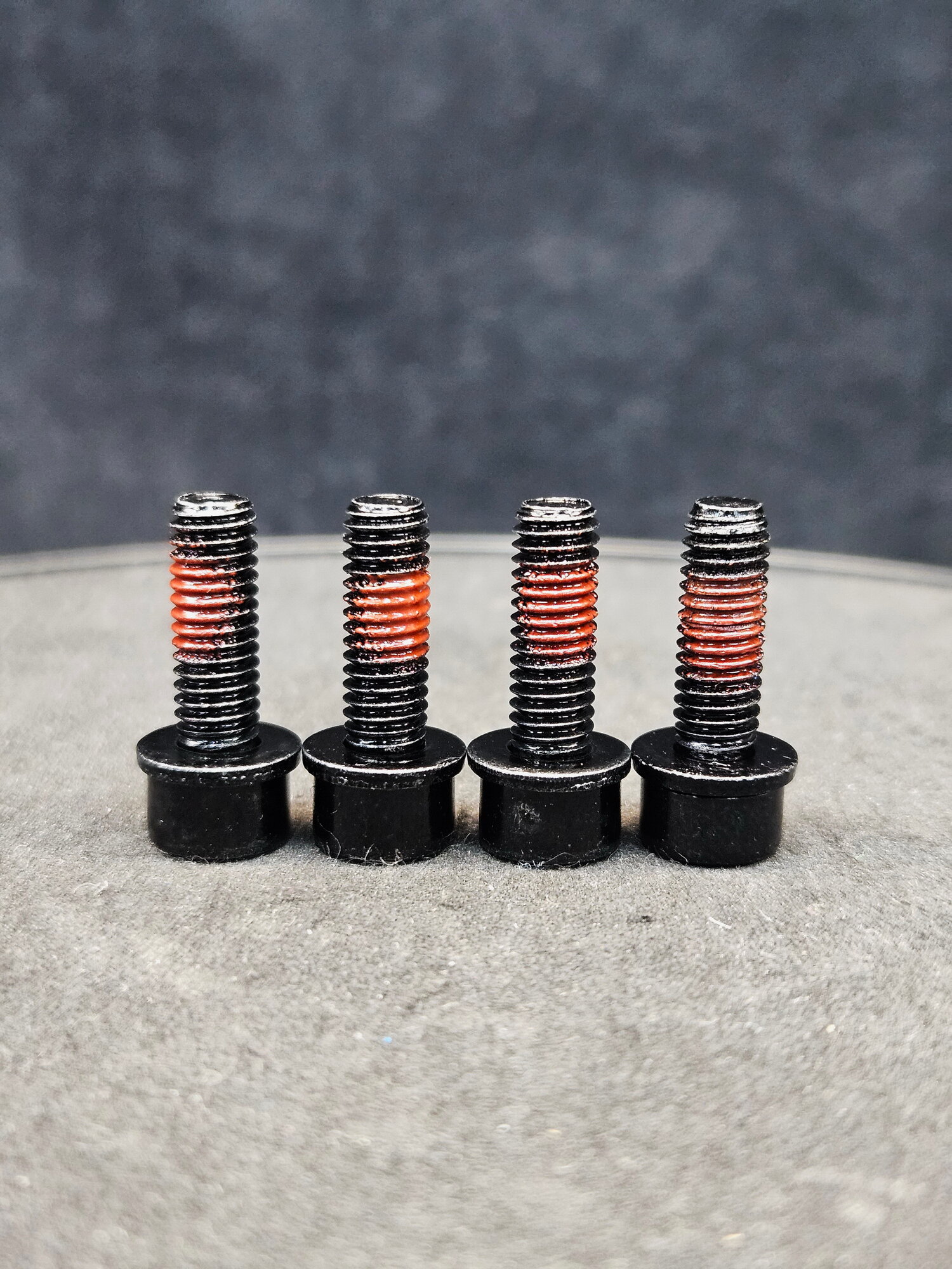 Комплект болтов для тормоза Tektro (4 штуки), резьба M6, общая длина 24 мм, шайба 11,2 мм, HEX 5, стальной сплав