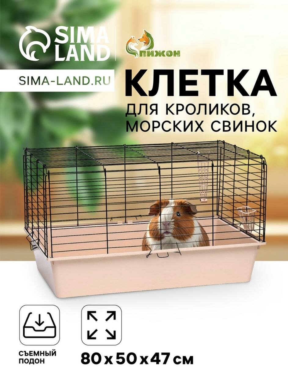 Клетка для кроликов, морских свинок "Пижон" №4 складная, 80 х 50 х 47 см, бежевая