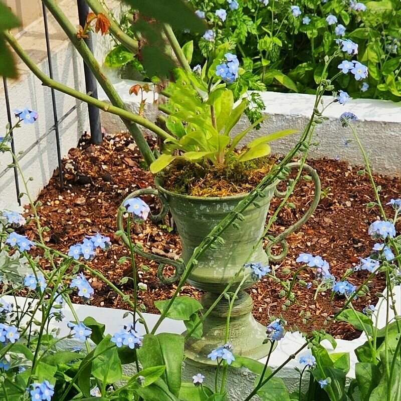 Цветочный горшок вазы украшения