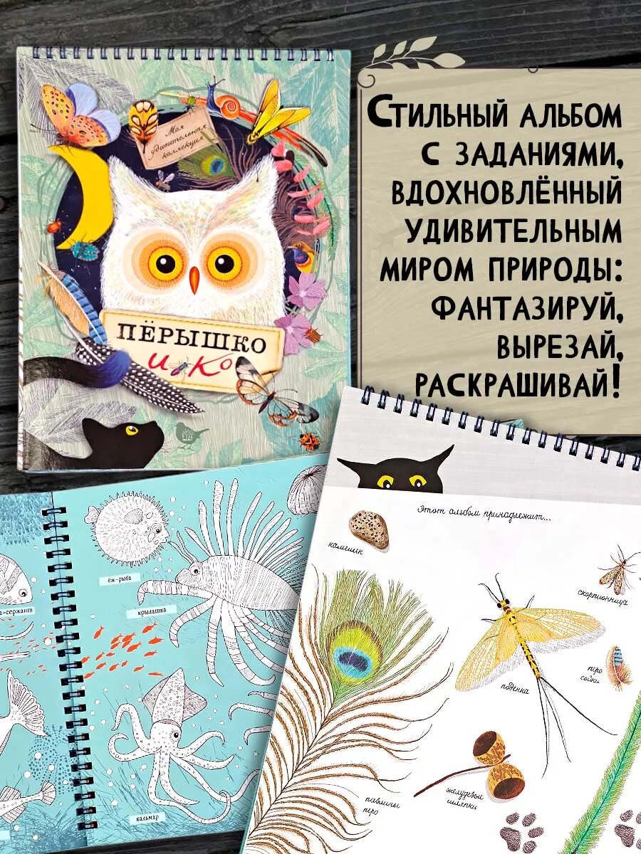 Моя удивительная коллекция. Перышко и Ко