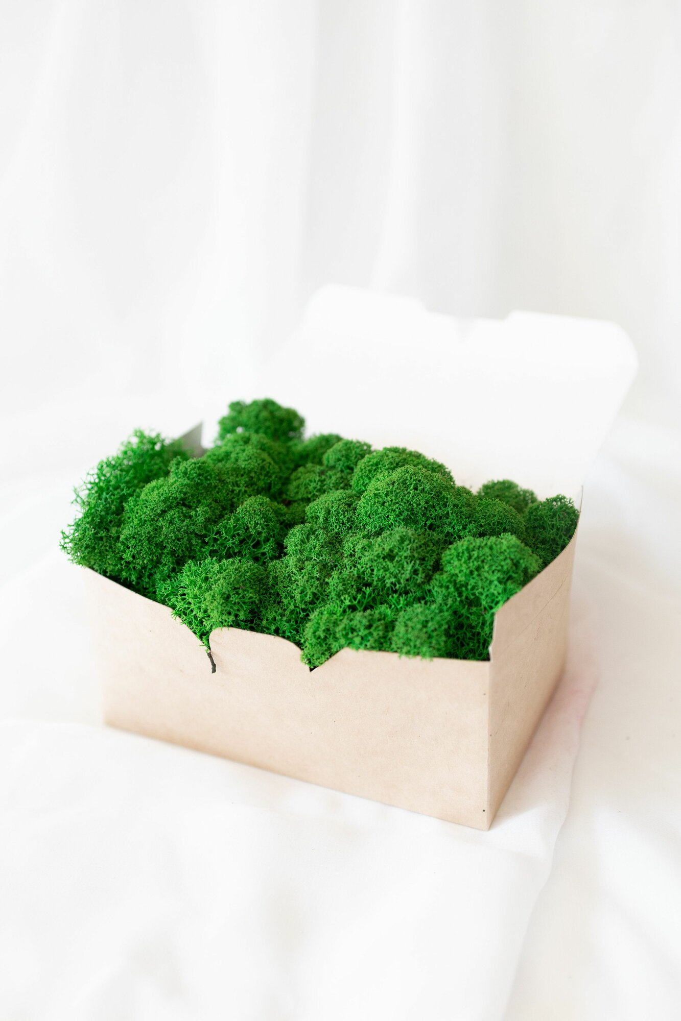 Мох стабилизированный StabFlora, ягель, натуральный, цвет зеленое яблоко, 100 г