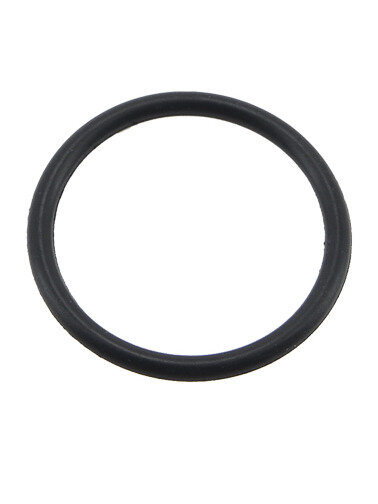 Уплотнительное кольцо (малое) для насосной станции PATRIOT PW 850-24 ST (20097097)