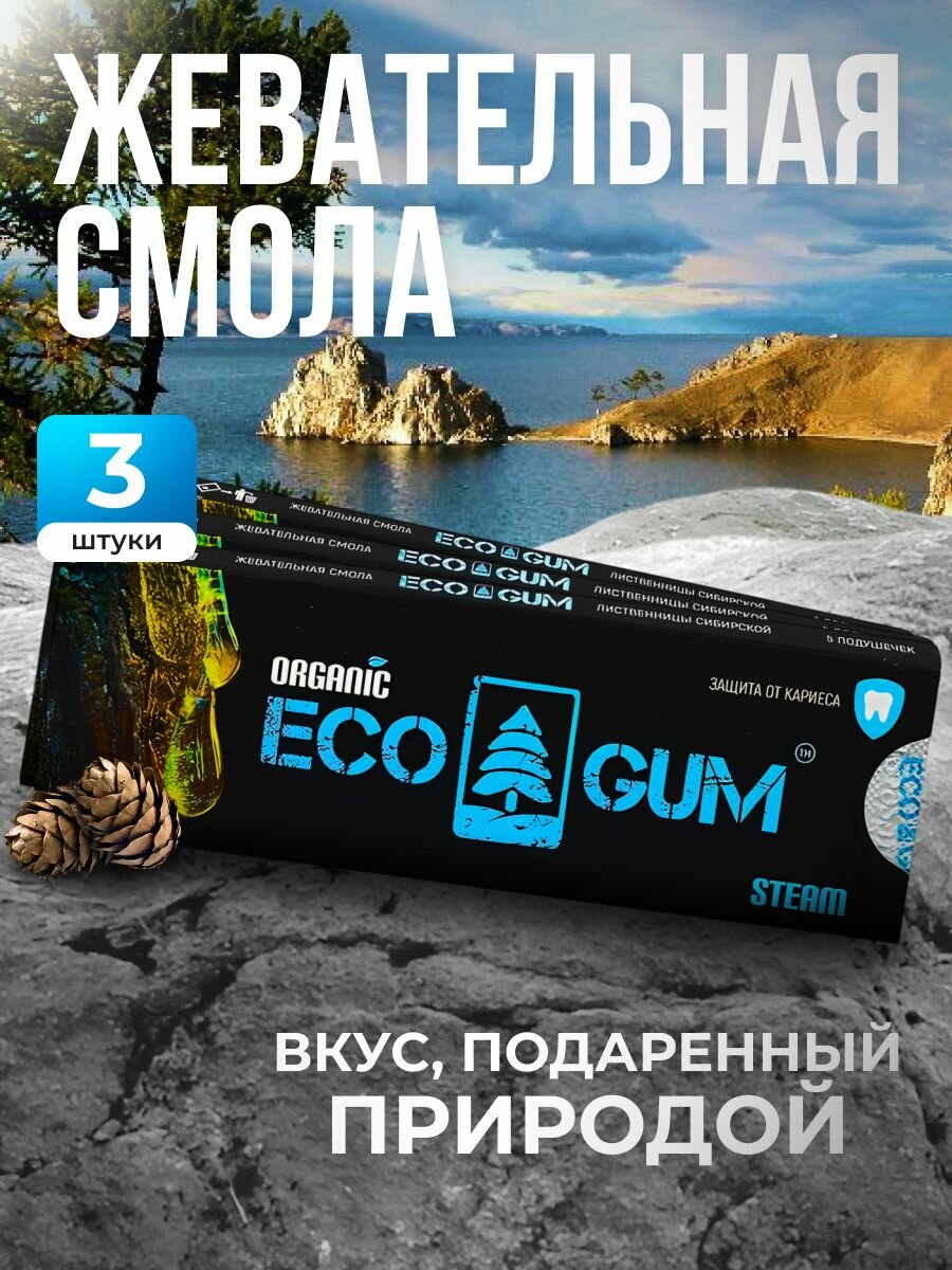 Жевательная резинка "Байкальская Живица", Eco gum, натуральная, без сахара, для взрослых и детей (Паровая)