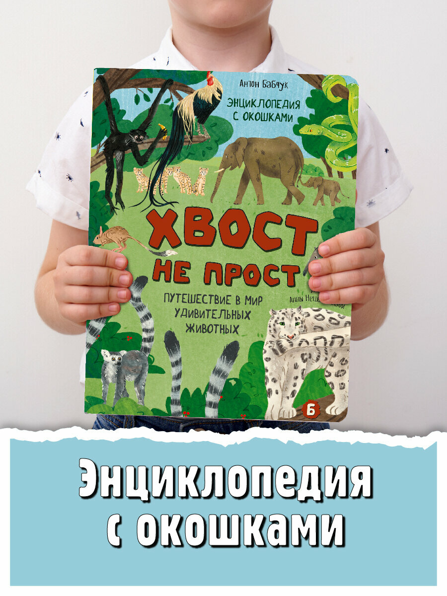 Книга БимБиМон "Виммельбух. Хвост не прост", окошки, 2025 г.