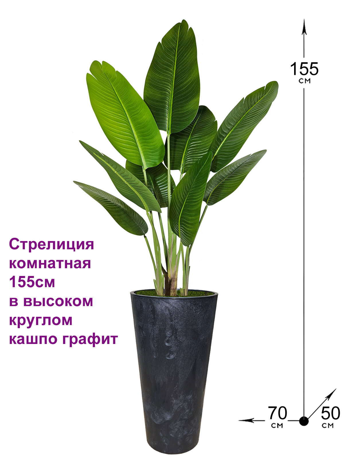 Искусственная Стрелиция комнатная 155см в высоком круглом кашпо графит от ФитоПарк, большие домашние растения