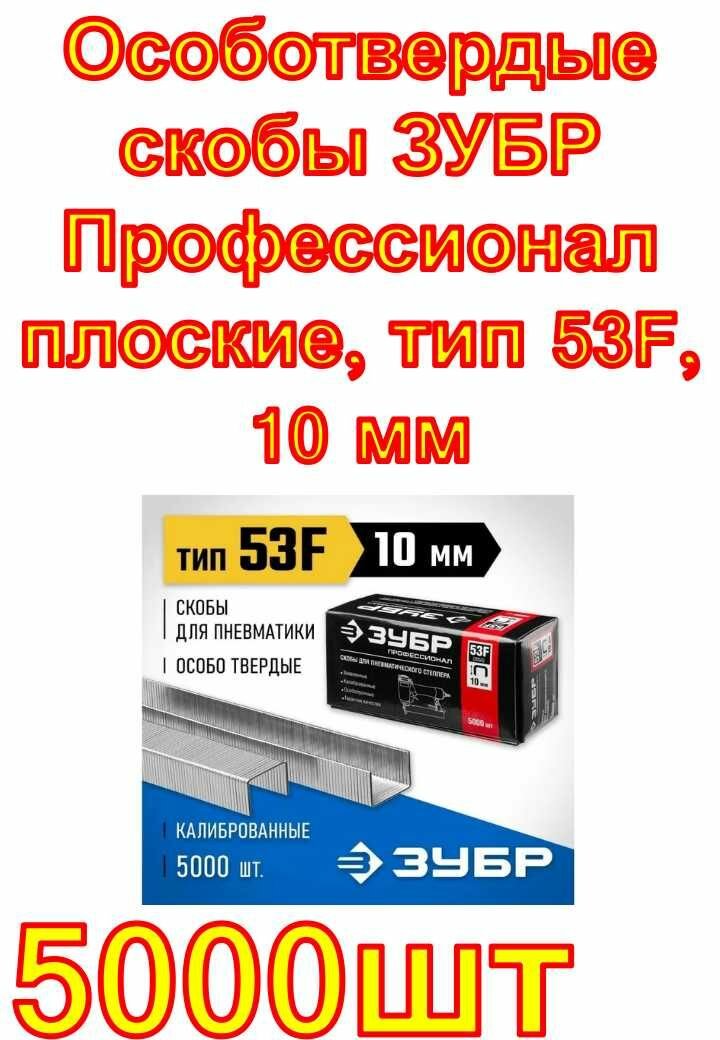 Особотвердые скобы ЗУБР Профессионал плоские, тип 53F, 10 мм, 5000 шт