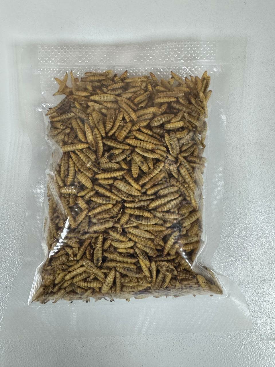 Exotic Menu Черная львинка (сушеная), для ежей, рептилий, грызунов, поссумов, птиц,90 гр, пакет