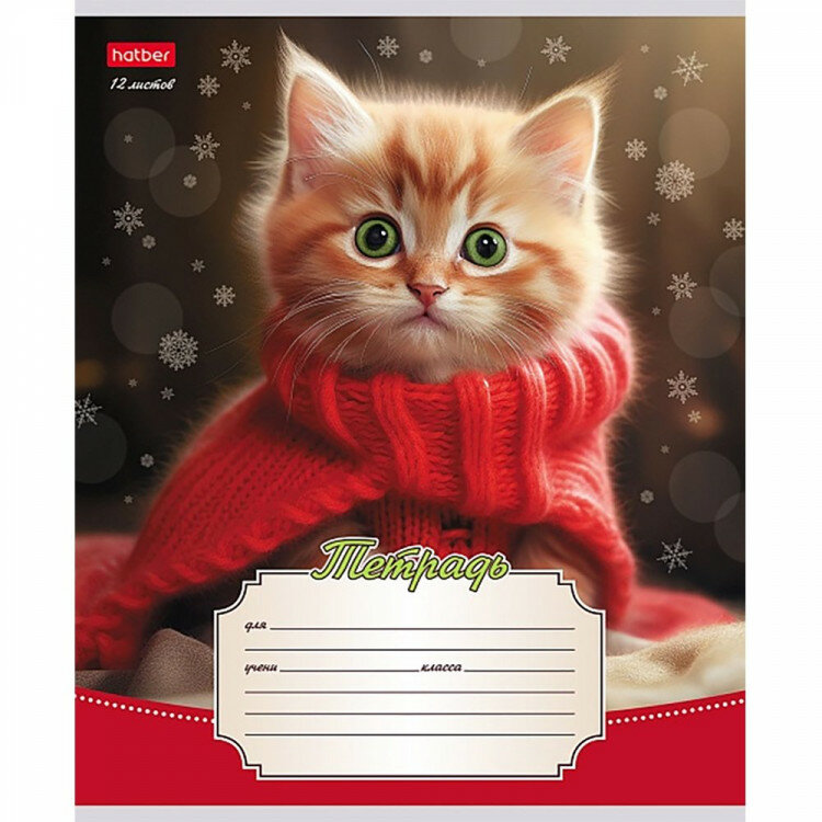 Тетрадь 12 листов линия Hatber Уютные котики ассорти арт.12Т5В2. Количество в наборе 10 шт.