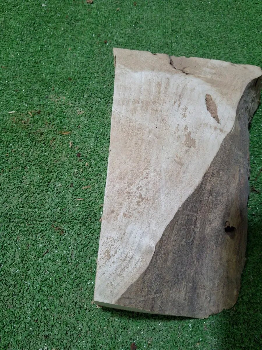 Слэб массив Тополь (260-180-50мм)