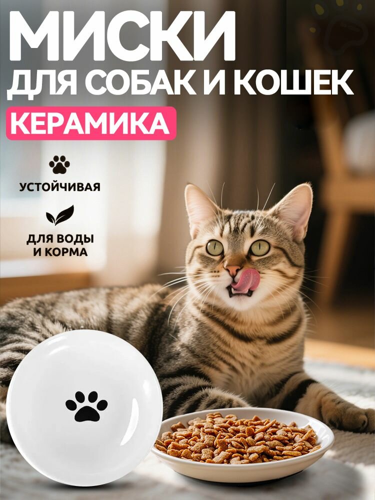 С нескользящей резиновой основой, противоусталостной плоской широкой миской для еды и воды для котят миска для котят нескользящая миска