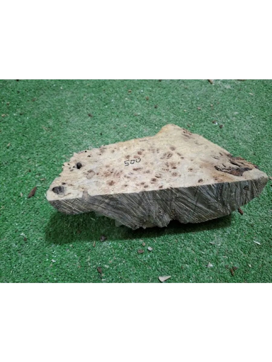 Слэб массив каповый тополь (240-140-60мм)