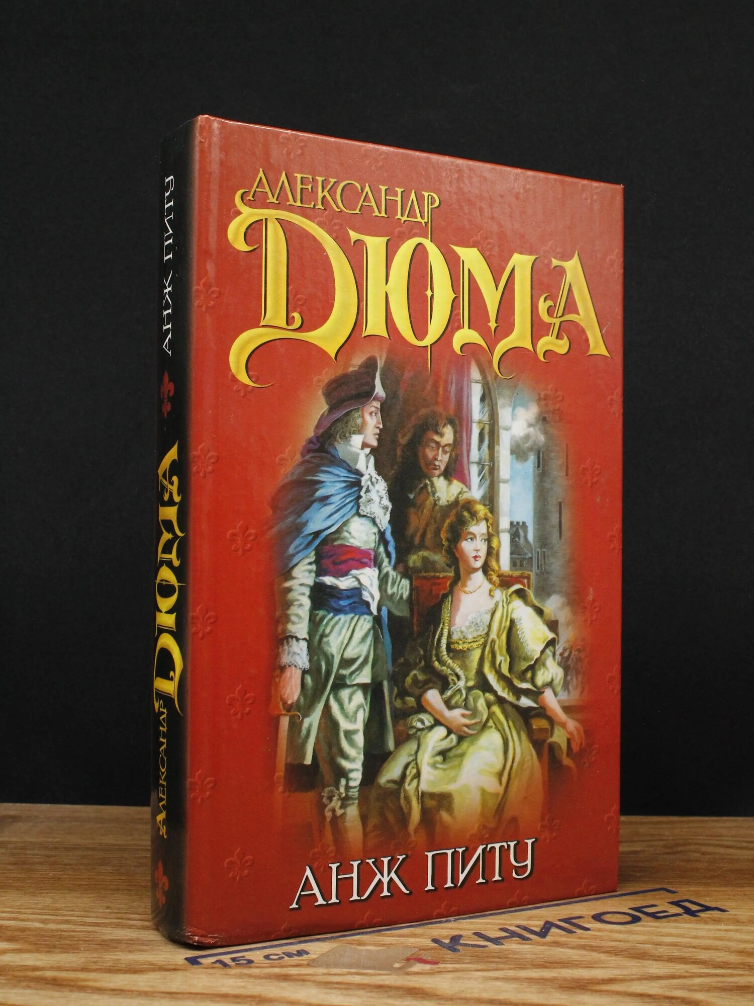 Книга. Анж Питу 2005 (2046513424917)