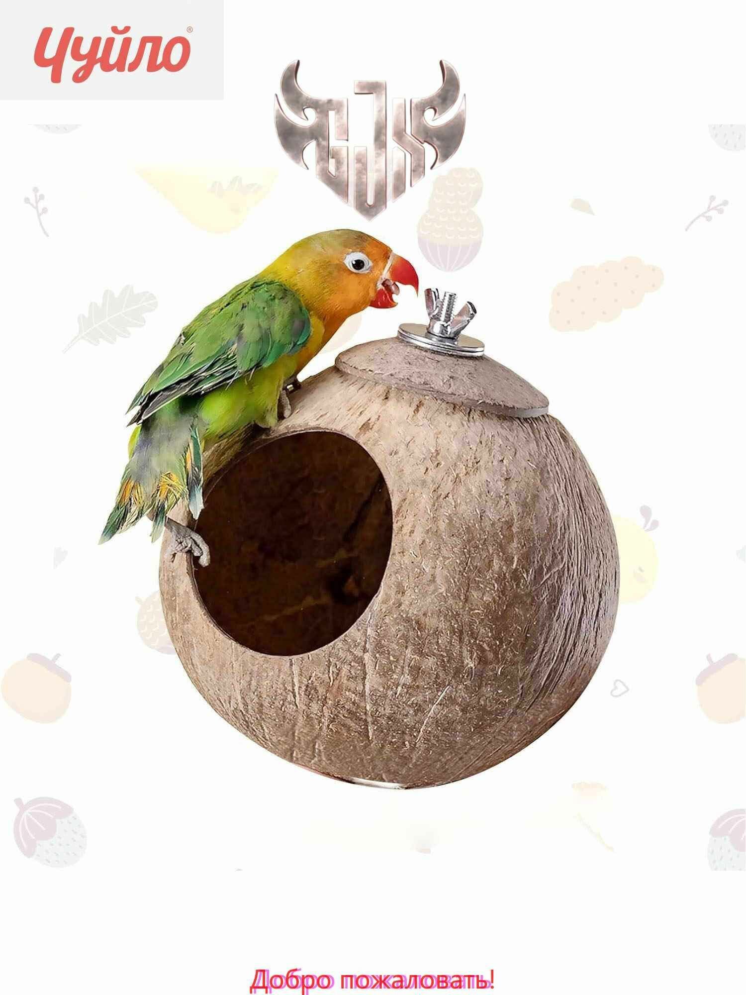 Гнездо для попугаев из кокосового волокна, подвесное укрытие-игрушка для волнистых и корелл, экококон для отдыха и размножения птиц