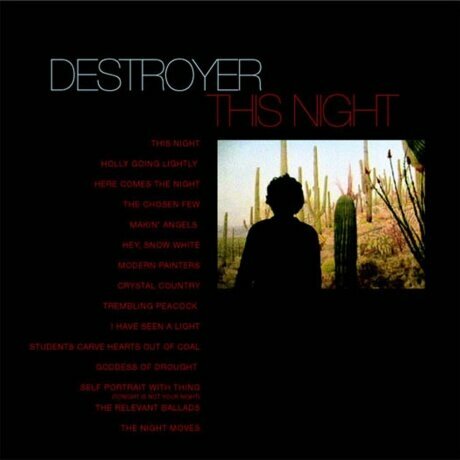 DESTROYER THIS NIGHT (Компакт-диск)