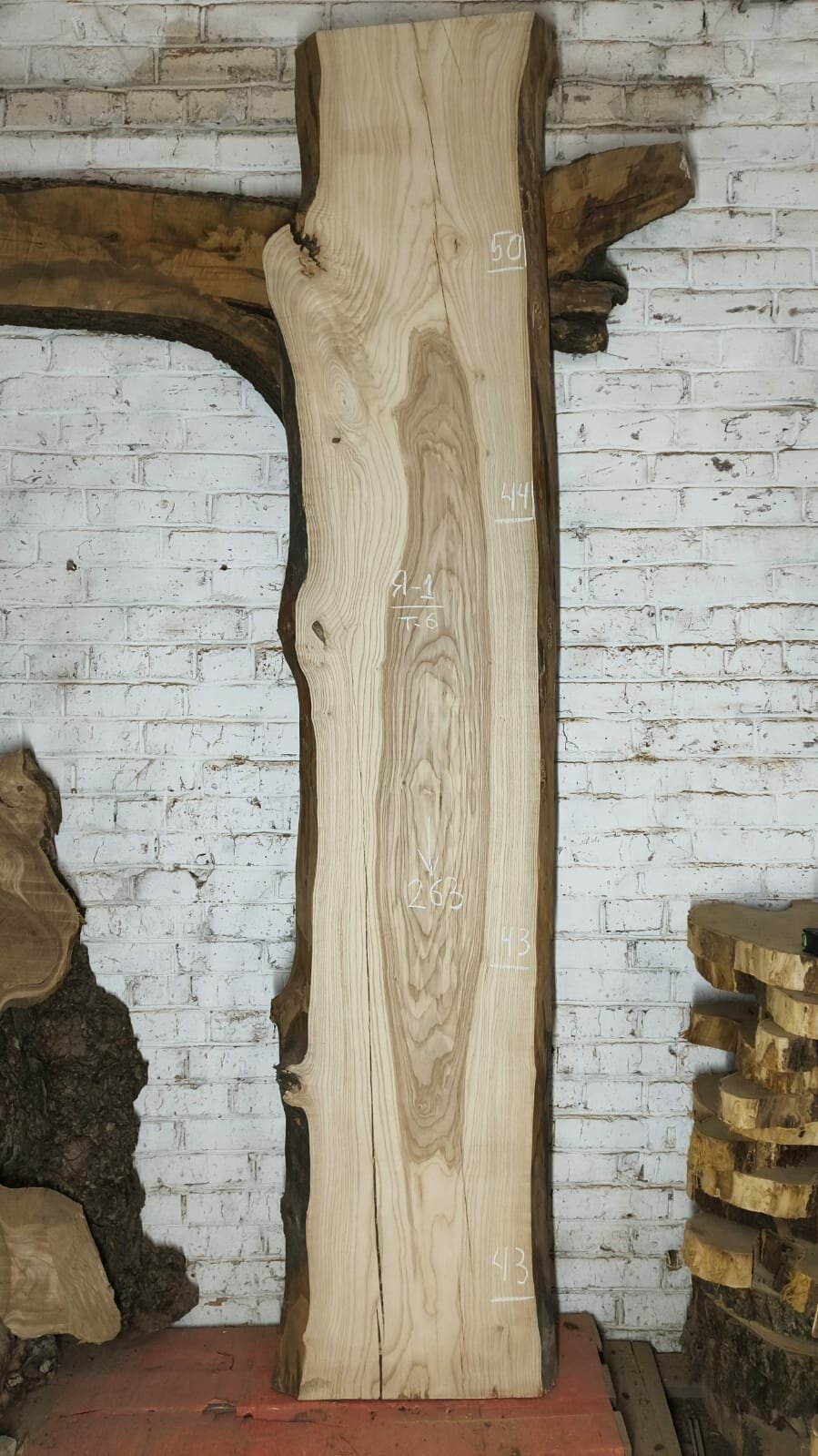 Слэб Ясень Я1