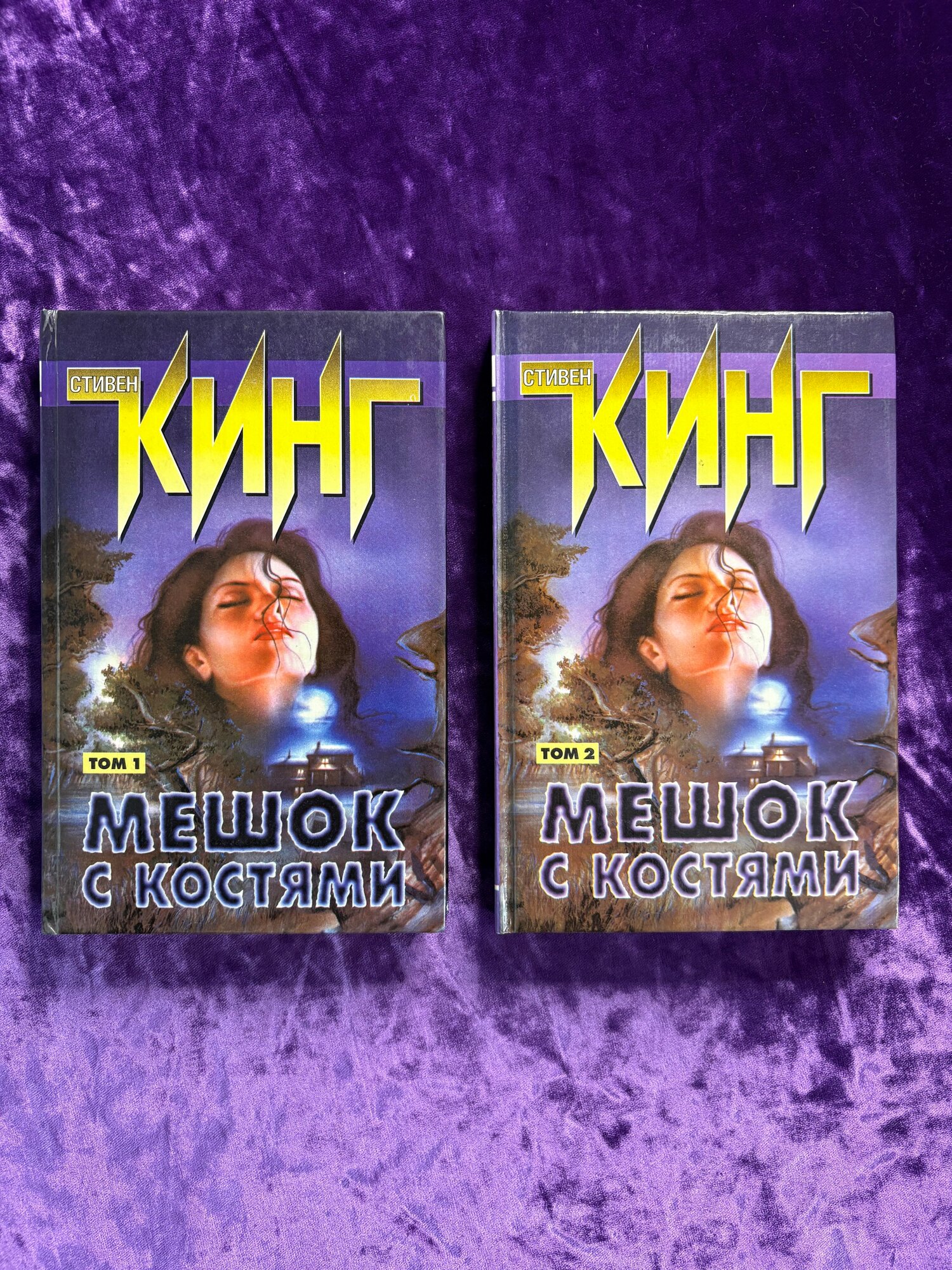 Мешок с костями. В 2 томах