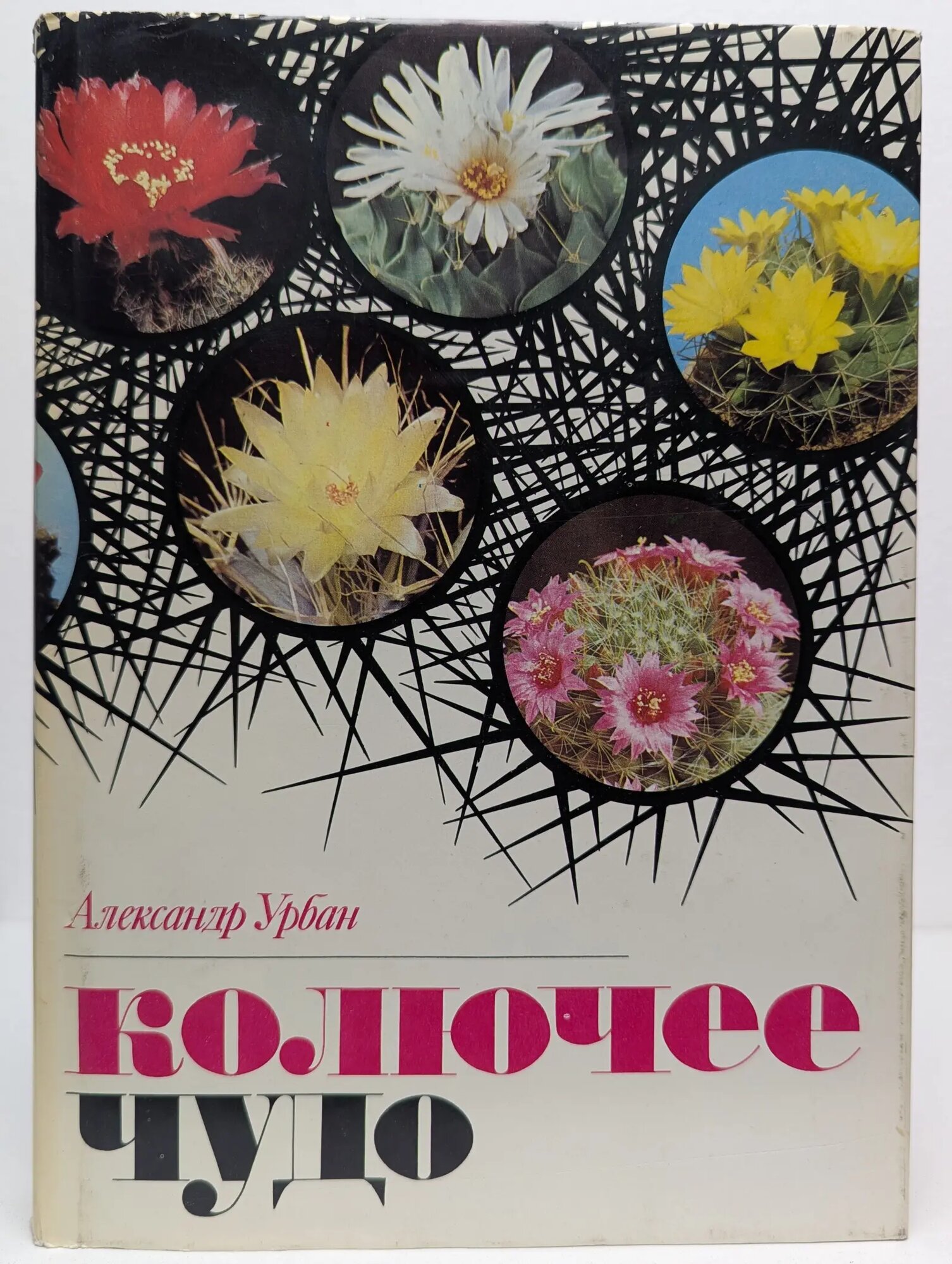 Колючее чудо Урбан Александр 1976