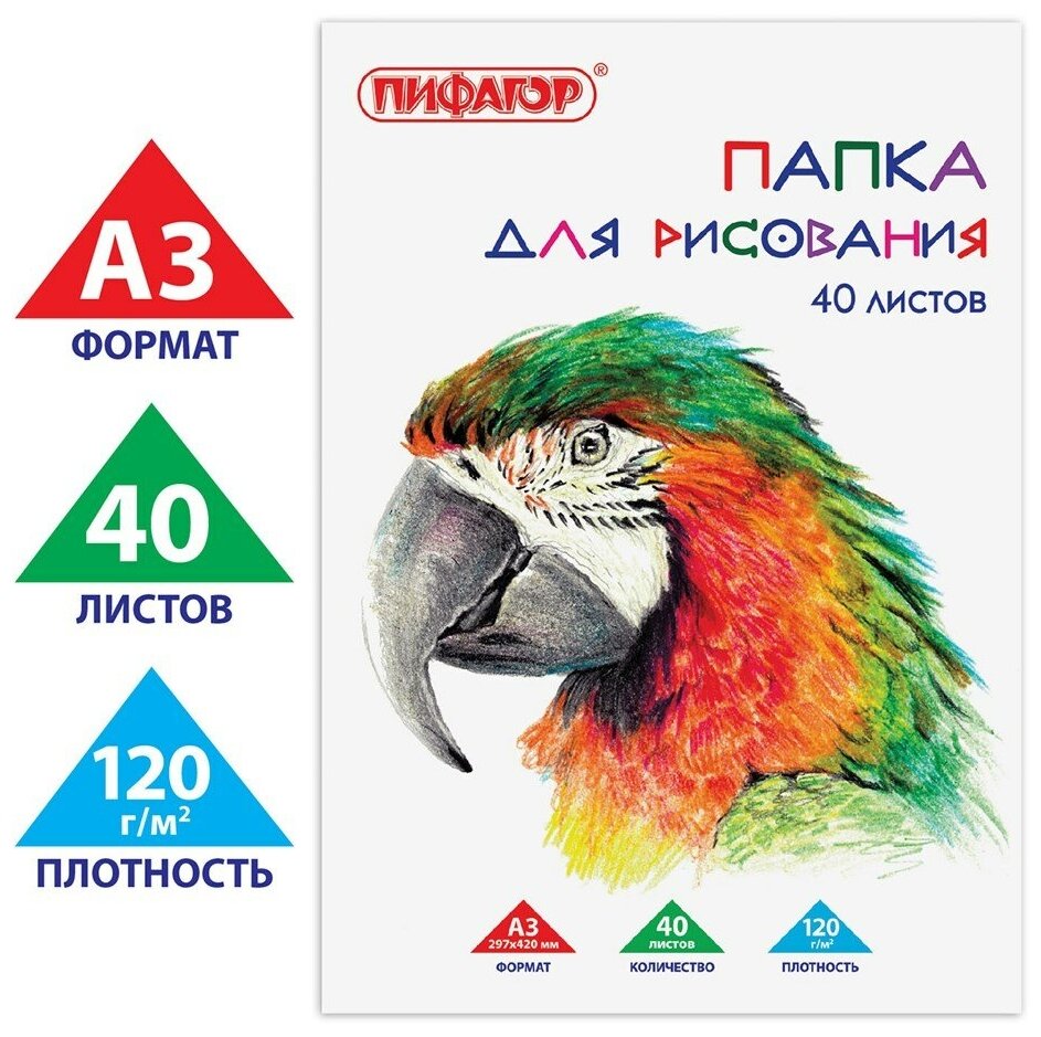 Папка для рисования большого формата А3, 40 л,120 г/м2, пифагор, 297х420 мм, "Попугай"