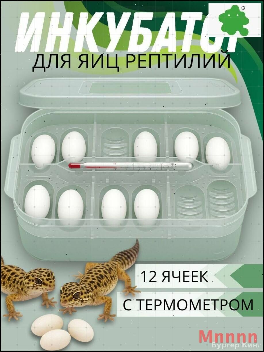 Инкубатор для рептилий 1