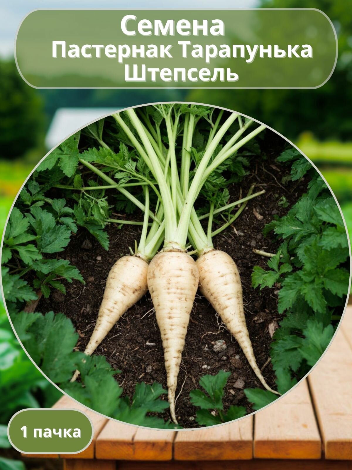Пастернак Тарапунька и Штепсель, семена 10 шт