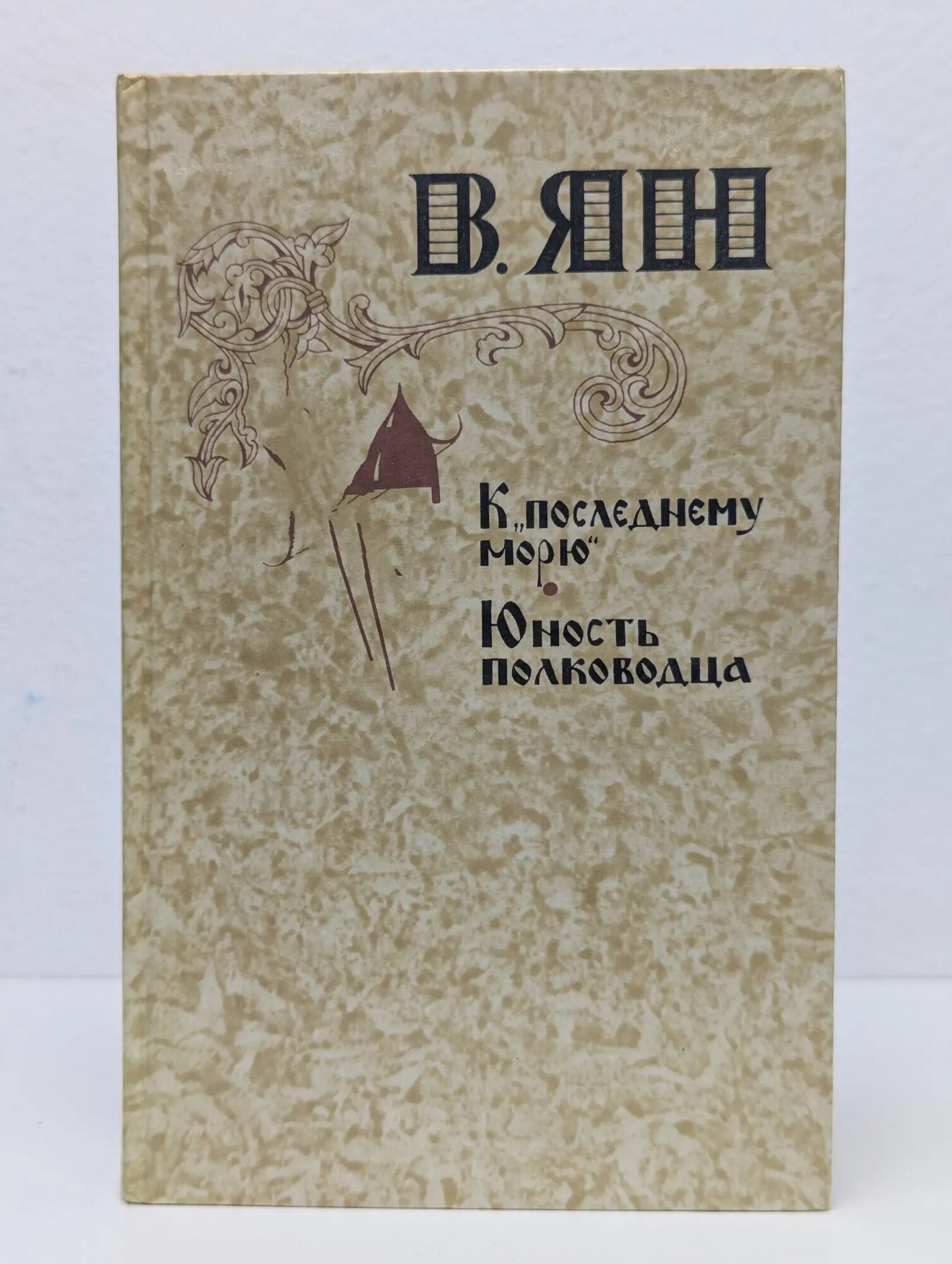 К "последнему морю". Юность полководца Василий Ян Григорьевич 1981