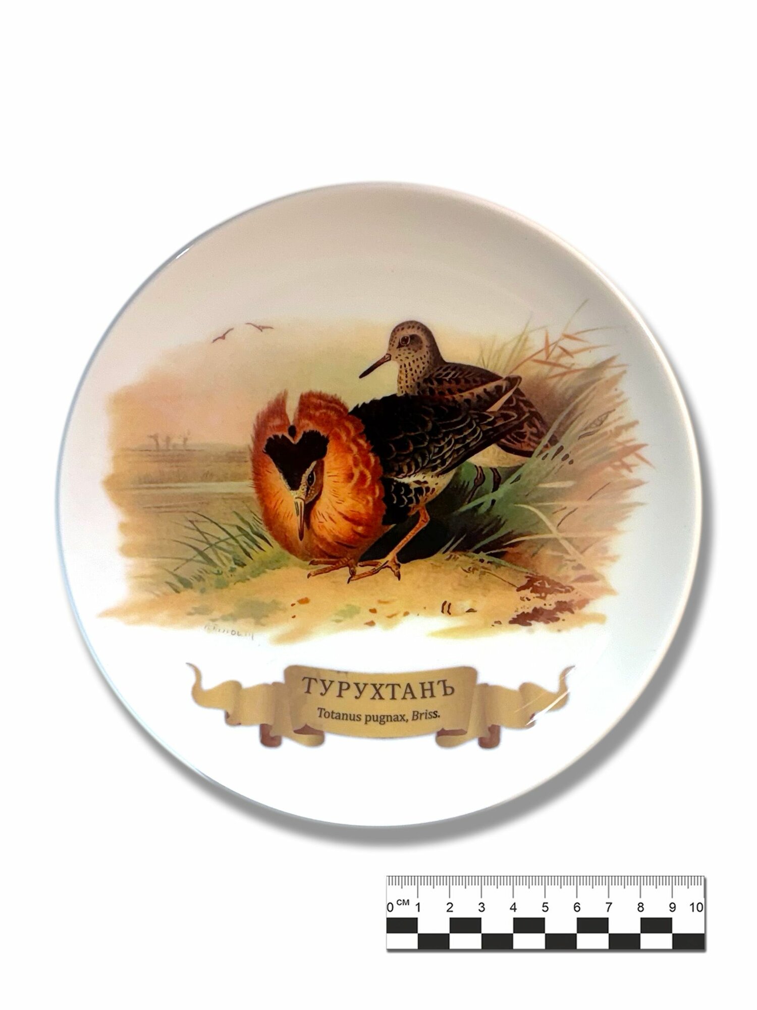 Декоративная тарелка с изображением турухтана исп.1т