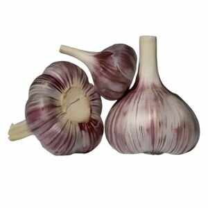 Чеснок озимый, 3 шт, в ассортименте