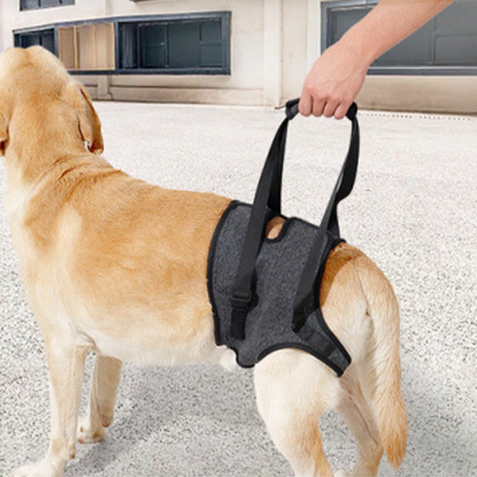 Фурнитура для ошейников и поводков-1-3