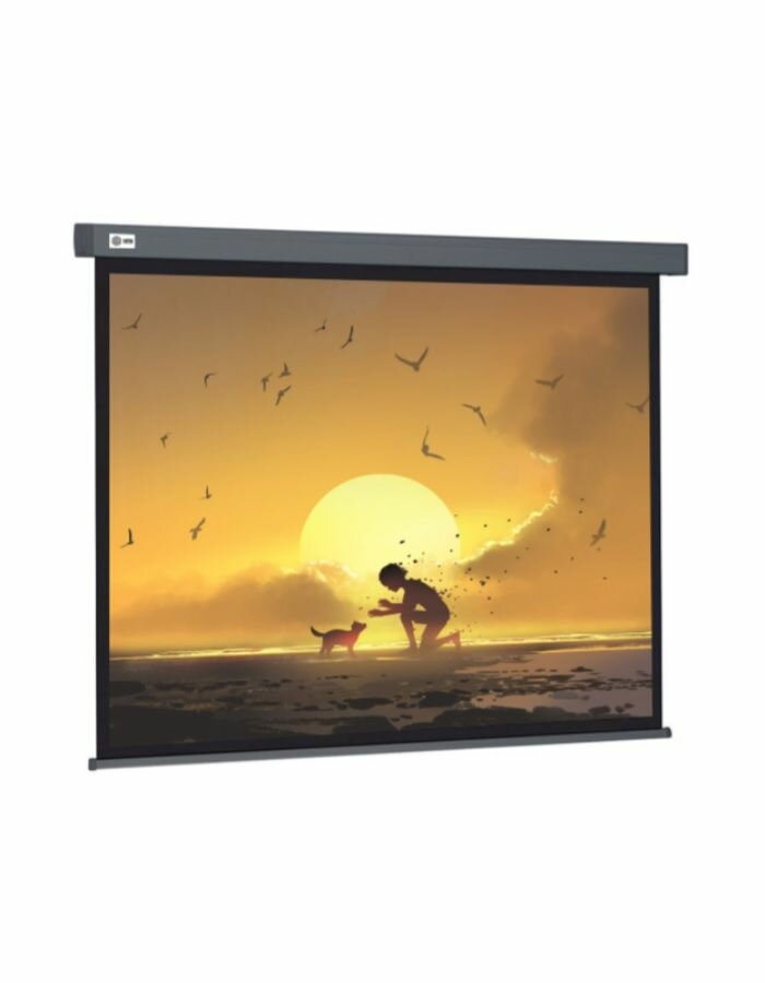 Экран Cactus CS-PSW-124X221-SG 124.5x221см, 16:9 на треноге настенно-потолочный wallscreen серый