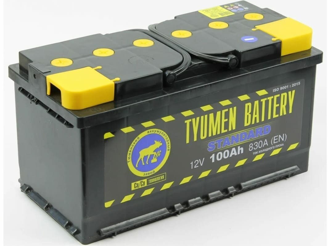 Аккумуляторная батарея TYUMEN BATTERY Тюмень standard 6ст (100.1 l TNS100.1) черный/желтый