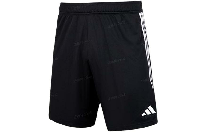 Шорты спортивные TIRO23