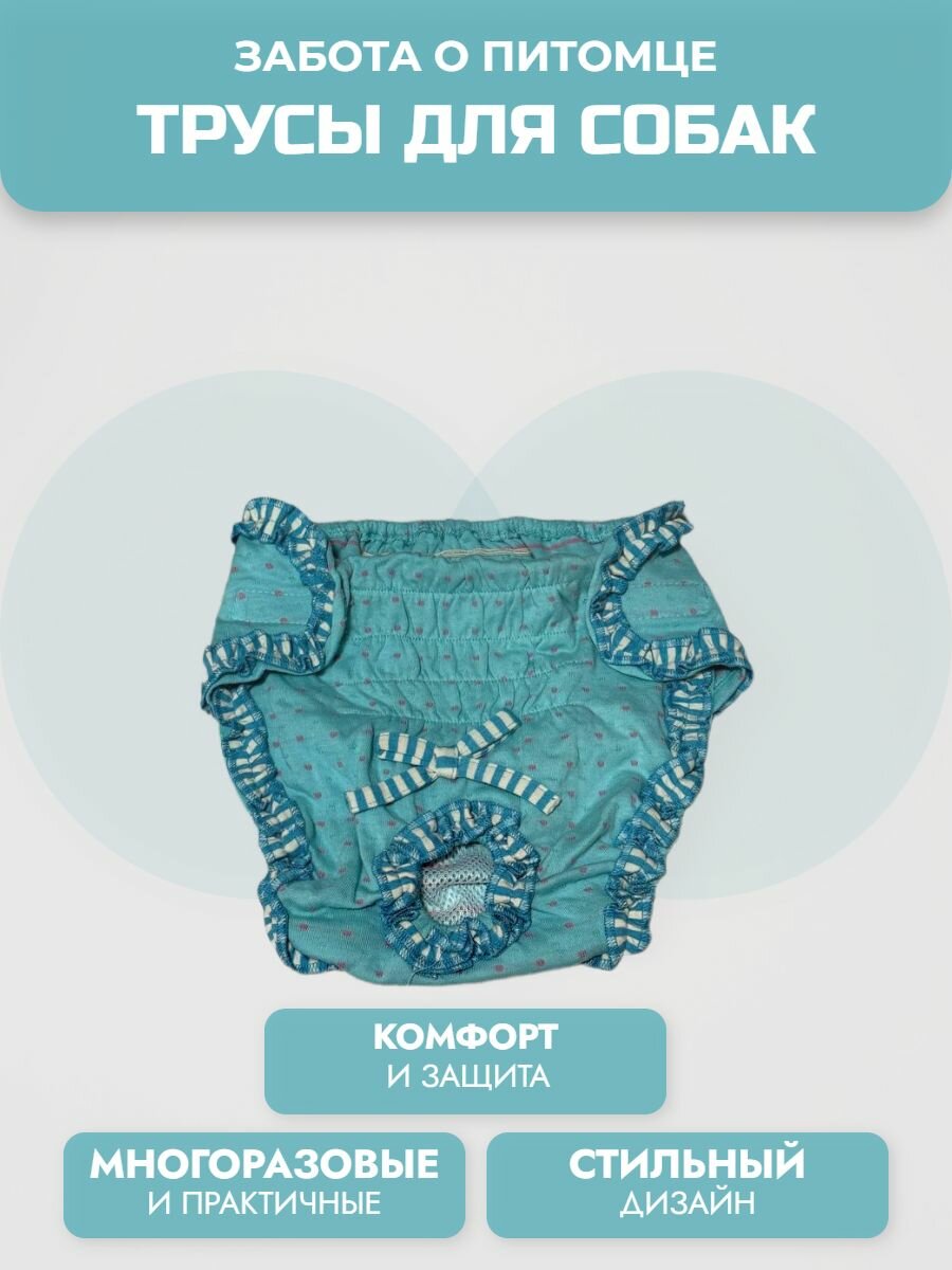 Трусы трикотажные для собак(14)