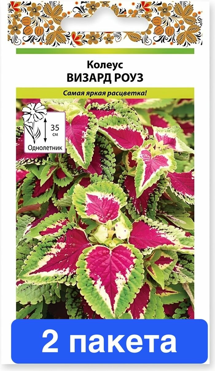 Смесь цветов Колеус Визард 2 пакета