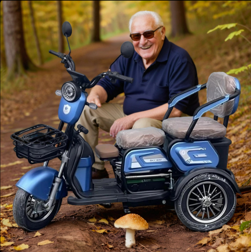 Трехколесный электроскутер электротрицикл SKY WAY 600ват 48v25ah 3х местный синий