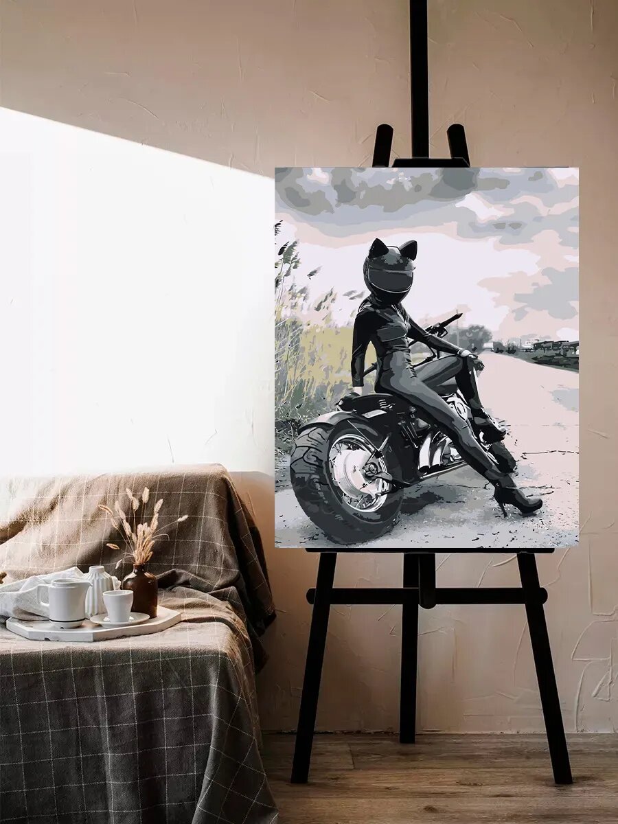 Картина по номерам Поле Девушка-Кошка Байк Мотоцикл