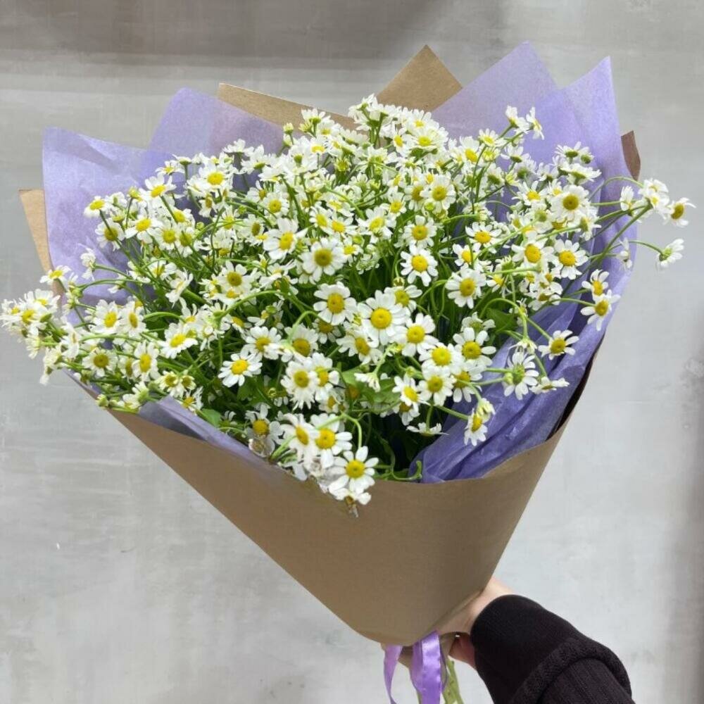 Букет из 11 кустовых ромашек в крафте