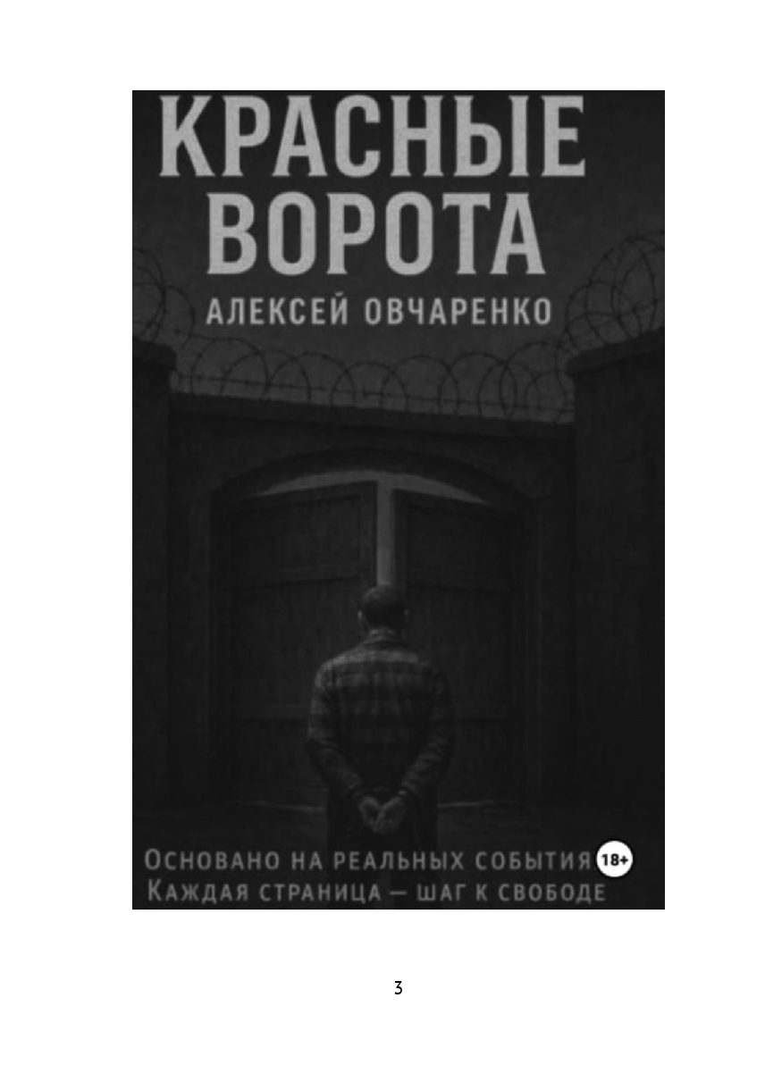 Красные ворота — фото 1