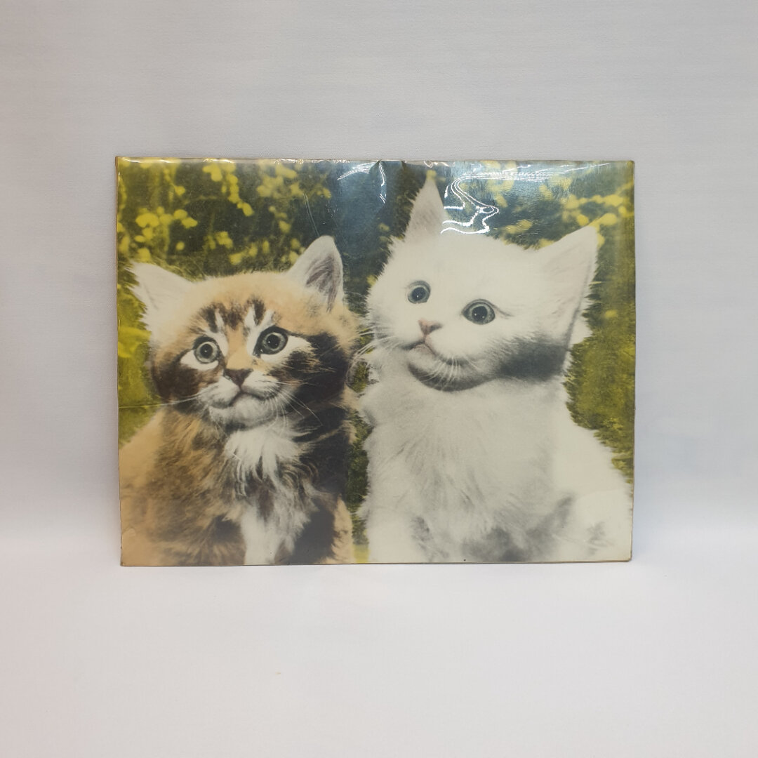 Репродукция Котята, картон 29х23 см, винтаж СССР