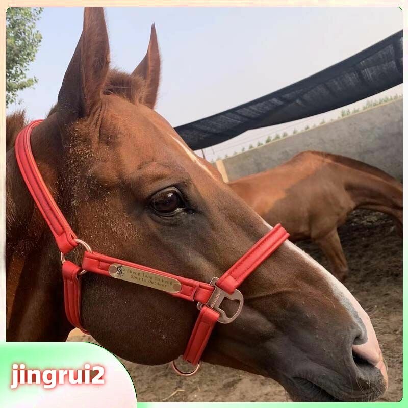 Недоуздок для лошади FULL/фулл красный, из микрофибры с медной фурнитурой